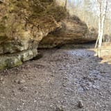 Panther Den Loop, Illinois - 873 Reviews, Map | AllTrails