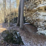 Panther Den Loop, Illinois - 946 Reviews, Map | AllTrails