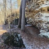 Panther Den Loop, Illinois - 946 Reviews, Map | AllTrails