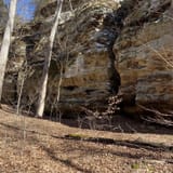 Panther Den Loop, Illinois - 873 Reviews, Map | AllTrails