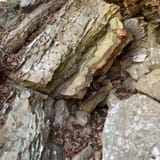 Panther Den Loop, Illinois - 921 Reviews, Map | AllTrails