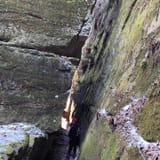 Panther Den Loop, Illinois - 946 Reviews, Map | AllTrails