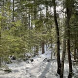 Chamberlain-Reynolds Memorial Forest Loop, New Hampshire - 988 Reviews ...