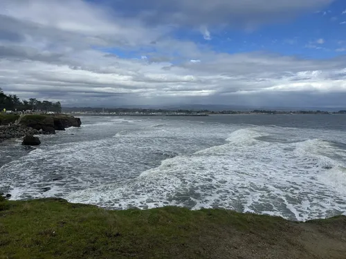 Best Hikes and Trails in Lighthouse Field State Beach | AllTrails