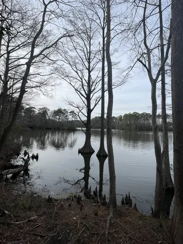 Best Hikes and Trails in Lake Lawson/Lake Smith Natural Area | AllTrails