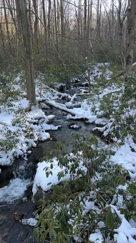 Best Views Trails in Rockton | AllTrails