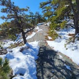 Surprise Lake Loop, New Jersey - 1,418 Reviews, Map | AllTrails