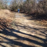 Keystone Ancient Forest Loop, Oklahoma - 710 Reviews, Map | AllTrails