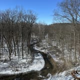 Martell Forest Loop, Indiana - 455 Reviews, Map | AllTrails