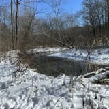Martell Forest Loop, Indiana - 545 Reviews, Map | AllTrails
