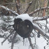 Ben Tyler Trail, Colorado - 595 Reviews, Map | AllTrails