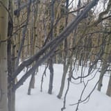 Ben Tyler Trail, Colorado - 595 Reviews, Map | AllTrails