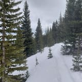 Ben Tyler Trail, Colorado - 595 Reviews, Map | AllTrails