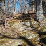 Red Cedar Trail, Illinois - 485 Reviews, Map | AllTrails