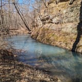 Red Cedar Trail, Illinois - 485 Reviews, Map | AllTrails