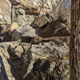 Red Cedar Trail, Illinois - 549 Reviews, Map | AllTrails