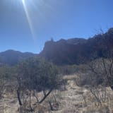 Haynes Ridge and Upper North Prong Trail Loop, Texas - 881 Reviews, Map ...