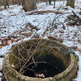 Hockamock Swamp, Massachusetts - 347 Reviews, Map | AllTrails