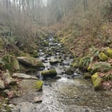 Japanese Gulch Loop Trail, Washington - 1,227 Reviews, Map | AllTrails