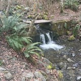 Japanese Gulch Loop Trail, Washington - 1,227 Reviews, Map | AllTrails