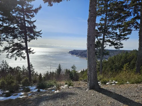 Best Beach Trails in Little Salmon River Nature Preserve | AllTrails