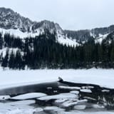 Annette Lake Trail, Washington - 5,559 Reviews, Map | AllTrails