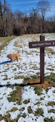 Best Hikes and Trails in Bohemia River State Park | AllTrails