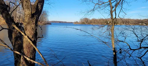 Best Hikes and Trails in Sassafrass Natural Resource Management Area ...