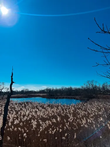 Best Hikes and Trails in Arshamomaque Preserve | AllTrails