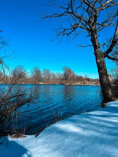 Best Hikes and Trails in Arshamomaque Preserve | AllTrails