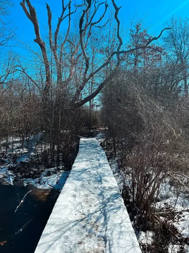 Best Hikes and Trails in Arshamomaque Preserve | AllTrails