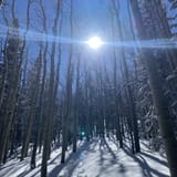 Ben Tyler Trail, Colorado - 705 Reviews, Map | AllTrails