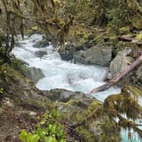 Staircase Rapids Loop, Washington - 2,443 Reviews, Map | AllTrails