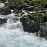 Staircase Rapids Loop, Washington - 2,443 Reviews, Map | AllTrails