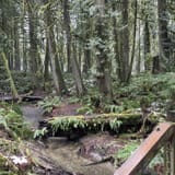 Evergreen Beach Trail, Washington - 694 Reviews, Map | AllTrails