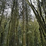 Evergreen Beach Trail, Washington - 694 Reviews, Map | AllTrails