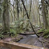 Evergreen Beach Trail, Washington - 694 Reviews, Map | AllTrails