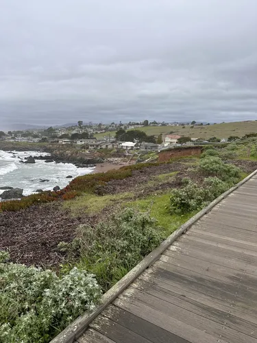 Best Wildlife Trails in Fiscalini Ranch Preserve | AllTrails