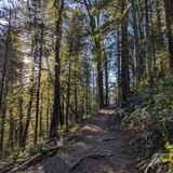 Lower Macleay Park to Pittock Mansion, Oregon - 4,157 Reviews, Map ...