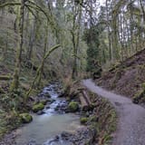 Lower Macleay Park to Pittock Mansion, Oregon - 4,157 Reviews, Map ...