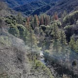 Ladybug Trail, California - 259 Reviews, Map | AllTrails