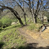 Castle Rock Stage Road Trail, California - 1,426 Reviews, Map | AllTrails