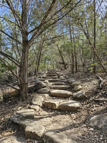 Los mejores senderos y rutas en Lost Maples State Natural Area | AllTrails