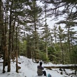 Myrtle Point and Mount LeConte via Alum Cave Trail, Tennessee - 3,081 ...