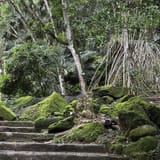Waimea Valley Trail, Oahu, Hawaii - 1,536 Reviews, Map | AllTrails