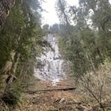 Skookum Flats Trail, Washington - 1,007 Reviews, Map | AllTrails