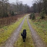 Macclesfield Forest Circular (Via Forest Bridleway), Cheshire, England ...