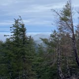 Mount Hebo, Oregon - 174 Reviews, Map | AllTrails