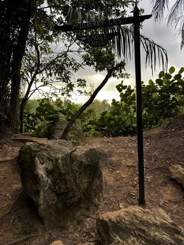 Best River Trails in Ulu Kinta | AllTrails