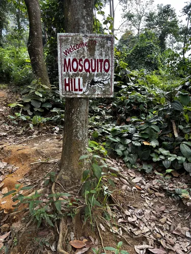 Best River Trails in Ulu Kinta | AllTrails